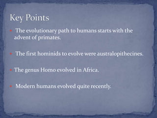 Evolution of Human | PPTX