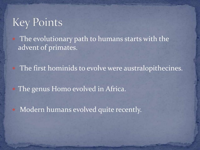 Evolution of Human | PPTX | Geology | Science