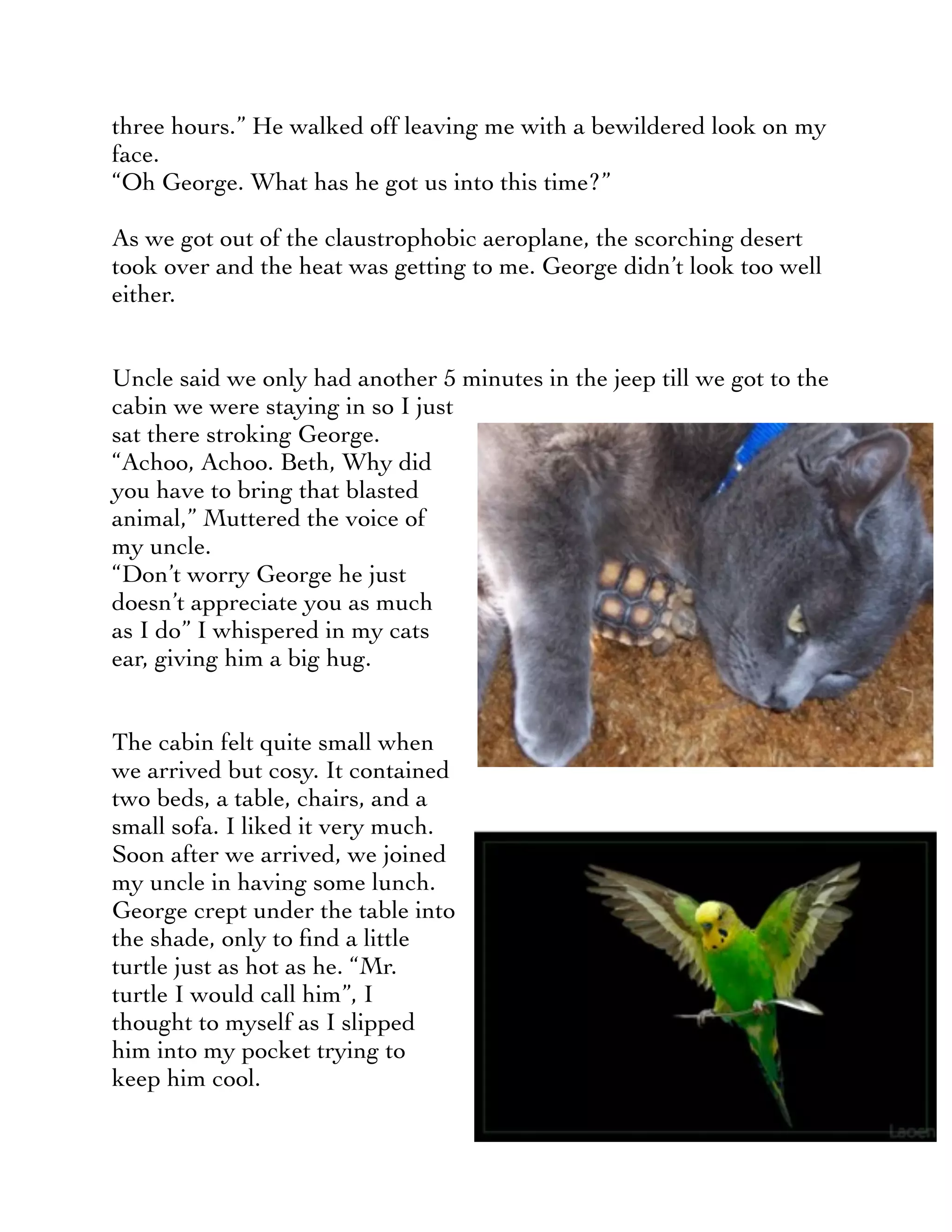 Four Picture Story | PAGES