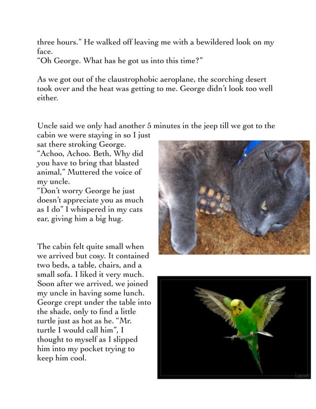 Four Picture Story | PAGES | Birds | Pets