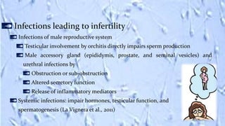How infections can cause male infertility | PPTX