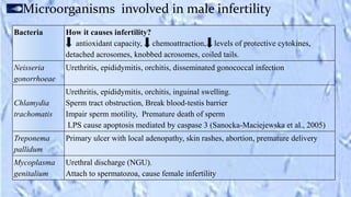How infections can cause male infertility | PPTX
