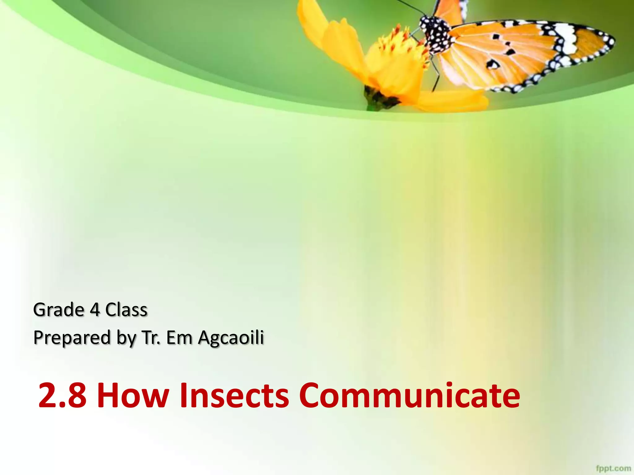 How insects communicate | PPTX
