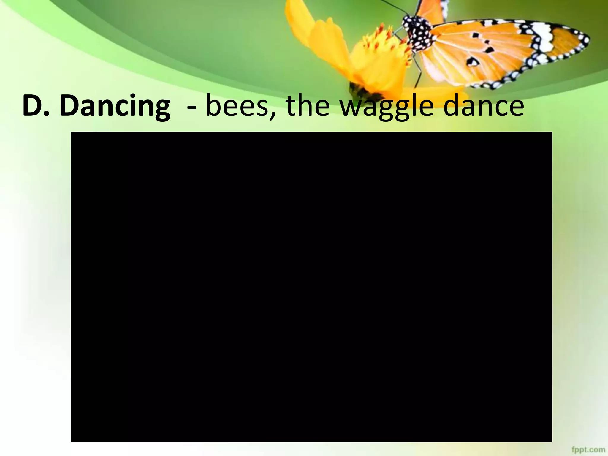 How insects communicate | PPTX
