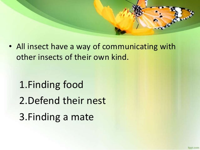 How insects communicate