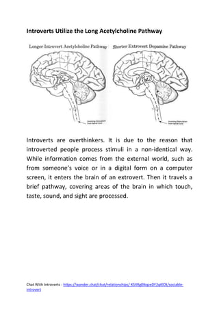 How introverts brains function and why it is different between ...