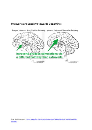 Introvert Vs Extrovert Brain