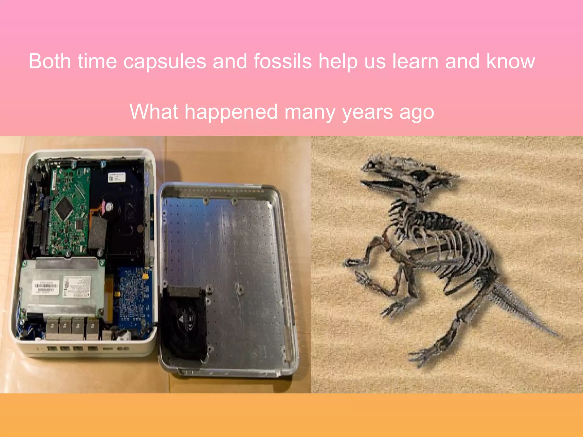 How is a fossil like a time capsule | PPT