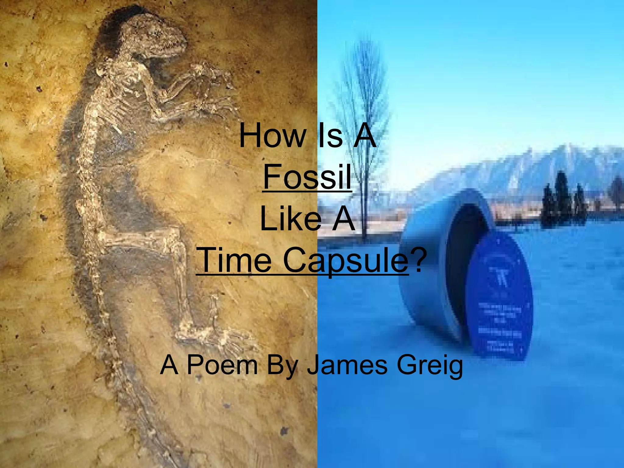 How is a fossil like a time capsule | PPT