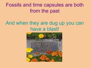 How is a fossil like a time capsule | PPT