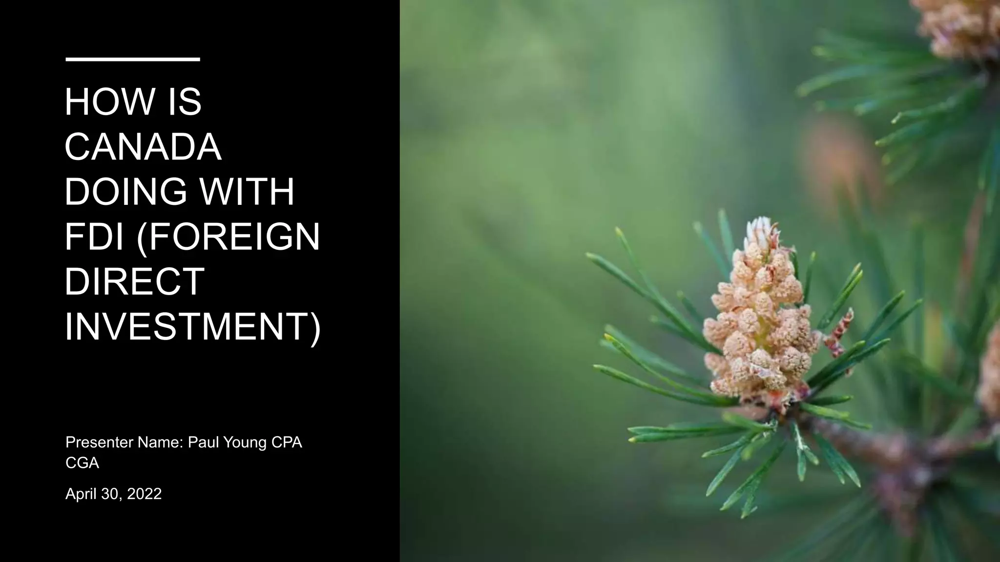 How is Canada doing with FDI (Foreign Direct Investment).pptx