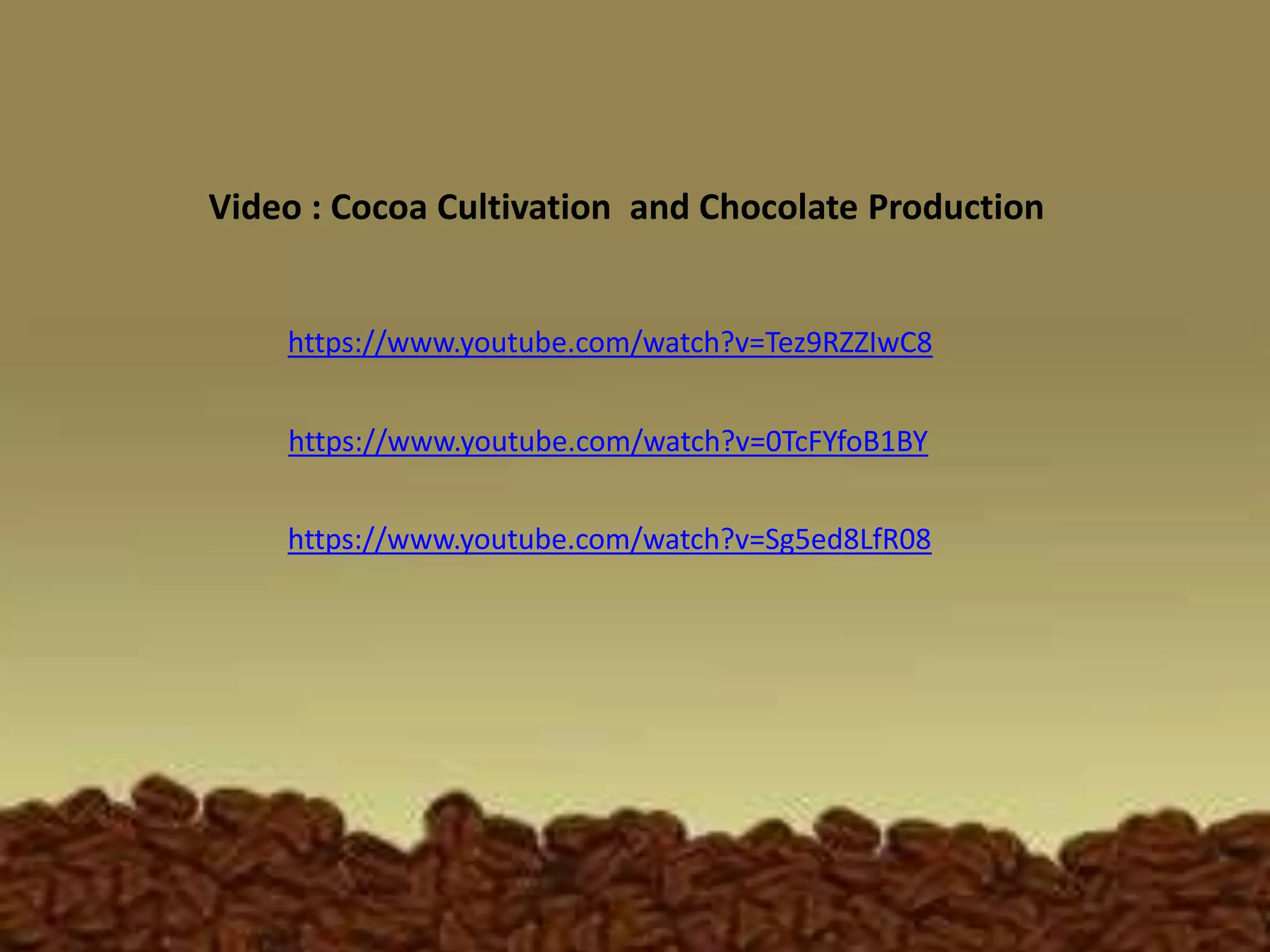 How is chocolate made | PPT