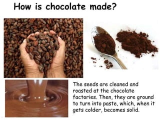 How is chocolate made | PPT