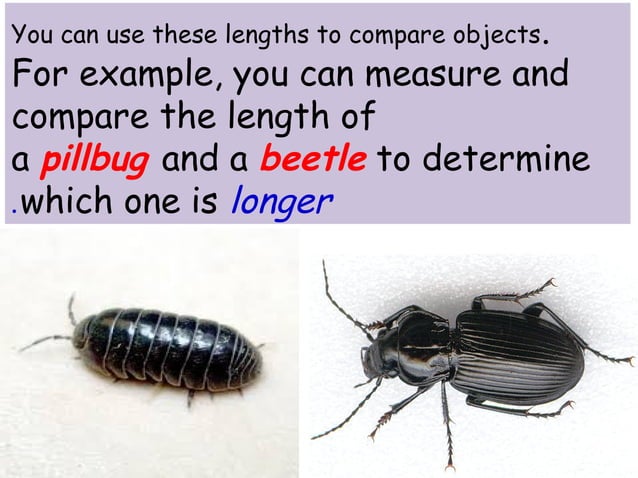 How is matter measured | PPT | Physics | Science