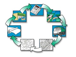 How is paper made | PPT