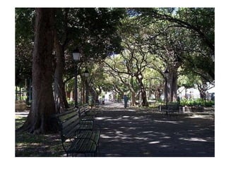 How is paper made | PPT