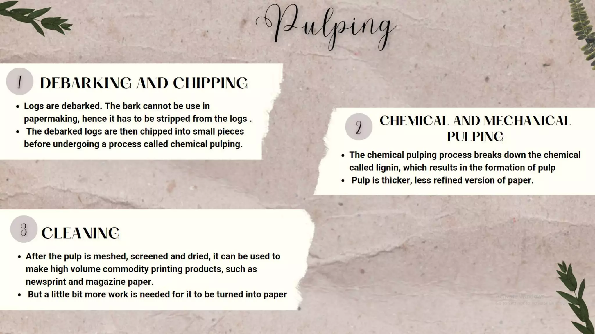 How is paper made.pptx