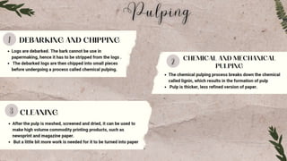 How is paper made.pptx