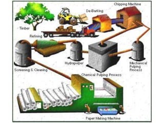 How is paper made 3 | PPTX