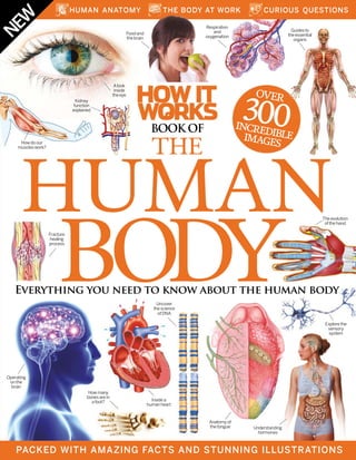 How it works._book_of_the_human_body_3rd_revised_edition_2015 | PDF