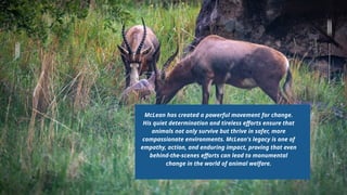 How Joseph Dee McLean is Secretly Saving Thousands of Animals | PPT