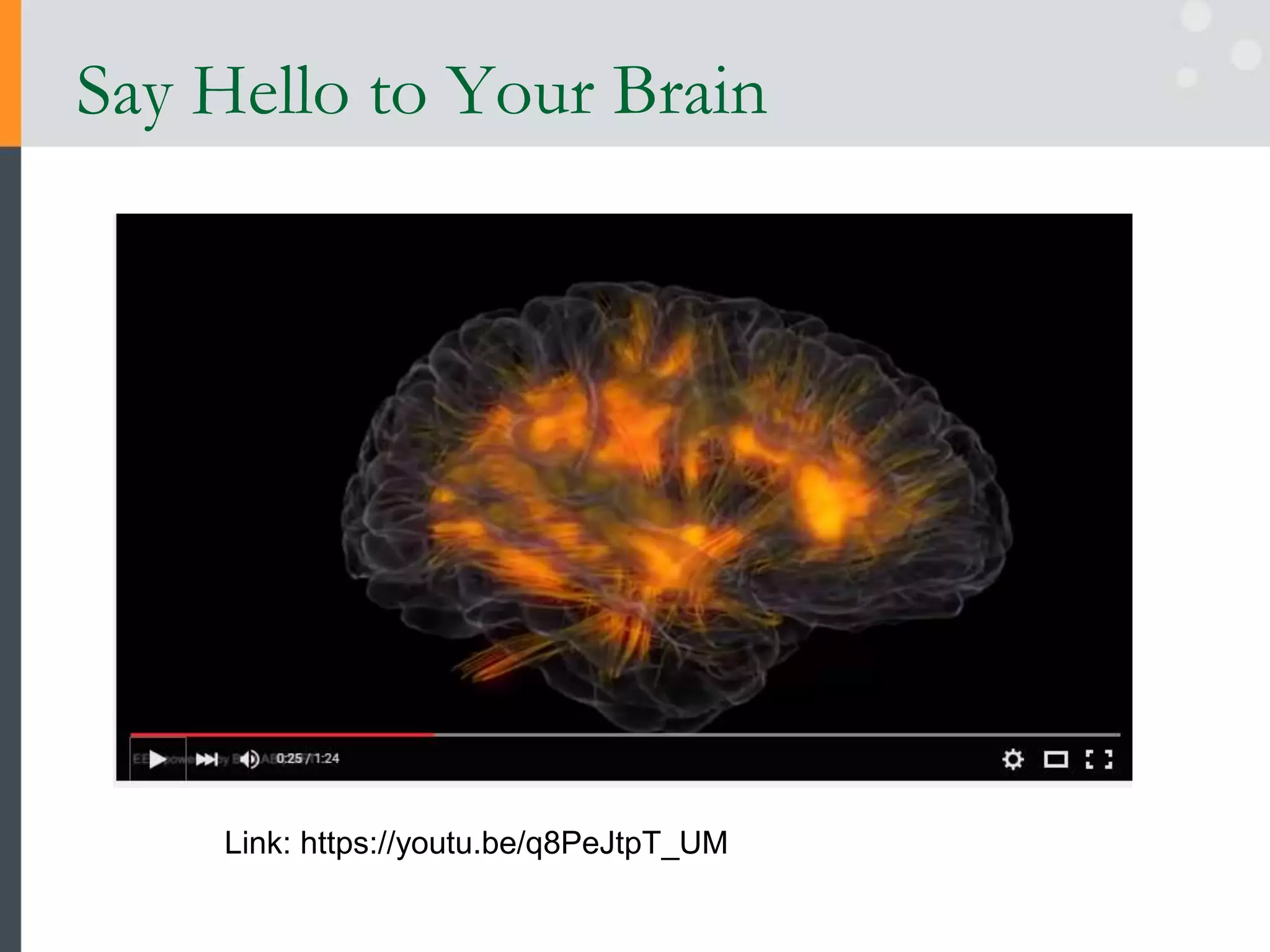 How Does a Child's Brain Learn? | PPT | Free Download