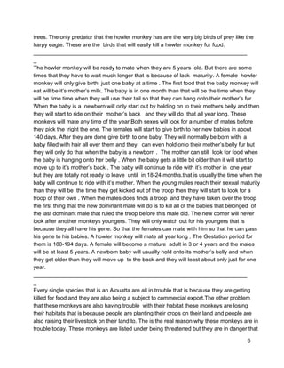 Howler monkey report | PDF