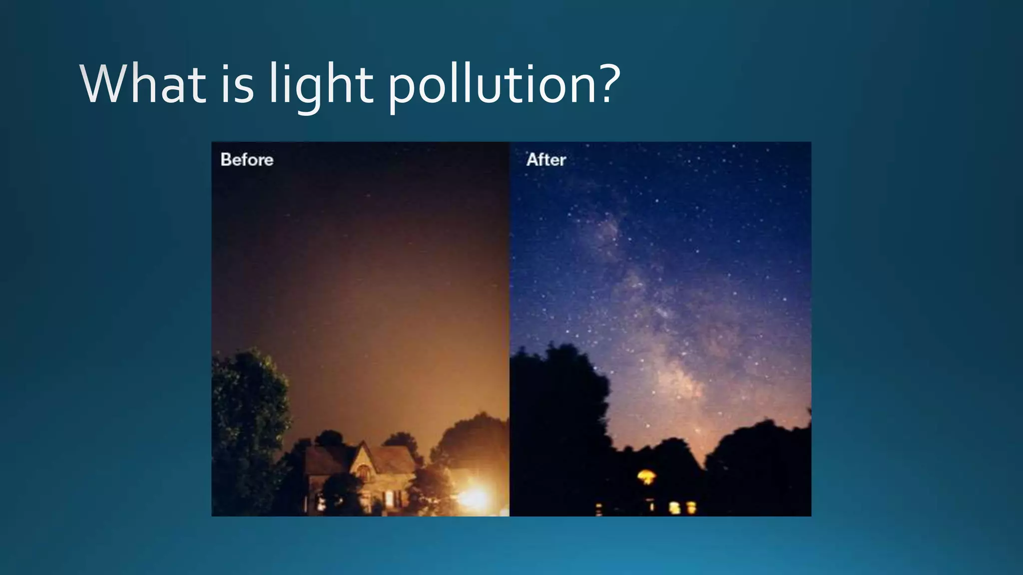 How light pollution affects wildlife | PPTX