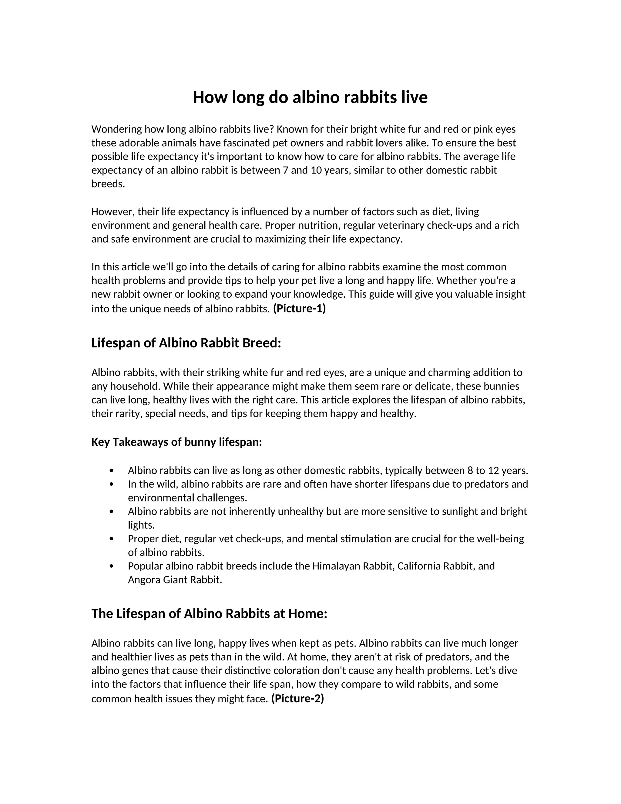 How Long do Albino Rabbits Live: Lifespan of Albino Rabbit Breed | PDF