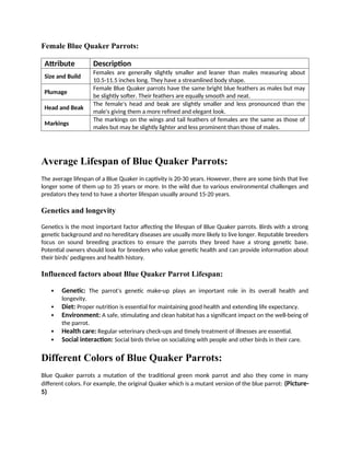 How Long Do Blue Quaker Parrots Live: History & Facts | DOCX