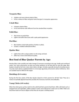 How Long Do Blue Quaker Parrots Live: History & Facts | DOCX | Birds | Pets