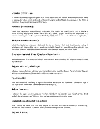 How Long Do Blue Quaker Parrots Live: History & Facts | DOCX