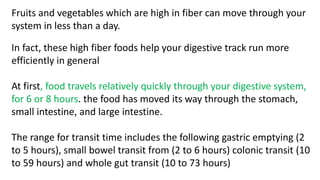 How long does it take to digest food-medical information | health facts ...
