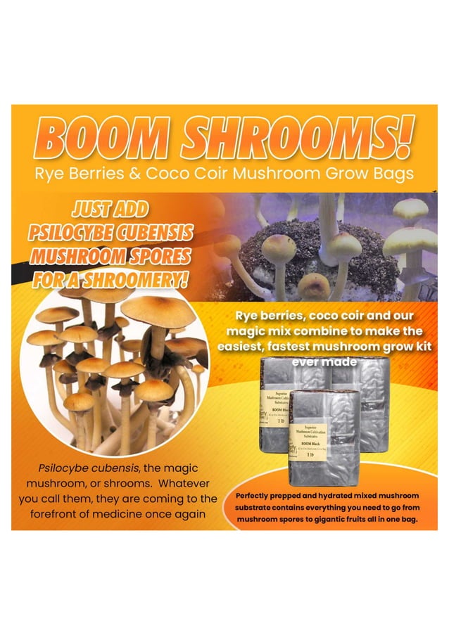 How long do shrooms take to kick in? Do Shrooms go bad? | PDF