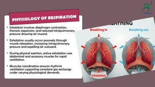 How Lungs Breathe Anatomy and Physiology of Respiration.pptx