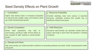 How Many Seeds to Plant - Homegrown Outlet | PPT