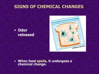 How matter changes | PPT