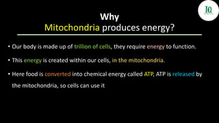 How mitochondria works.pptx