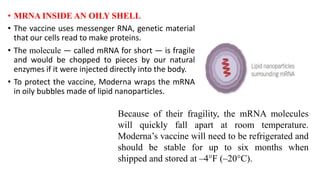 How moderna vaccine works | PDF