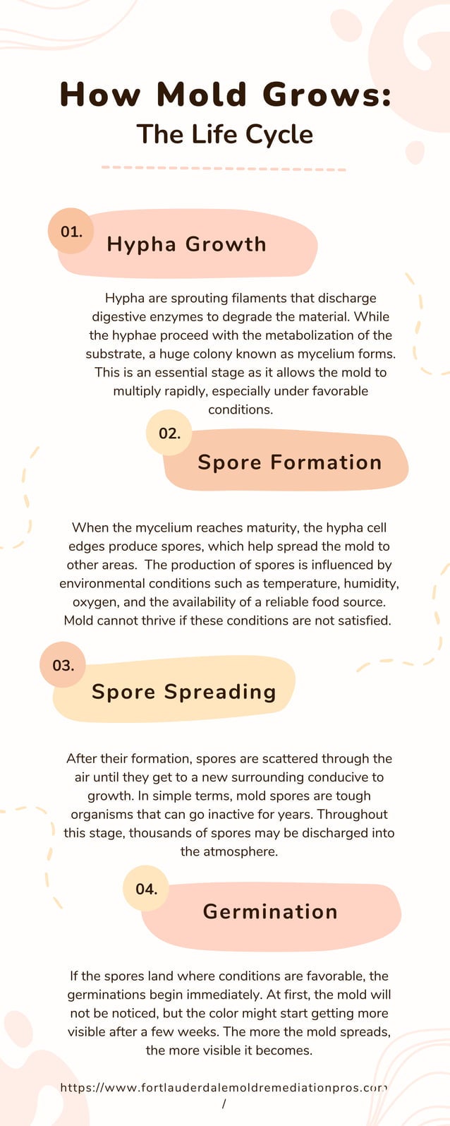 How Mold Grows The Life Cycle.pdf | Gardening | Home & Garden