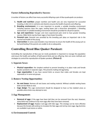 How much are Blue Quaker Parrots: Cost Blue Quaker Parakeet | DOCX