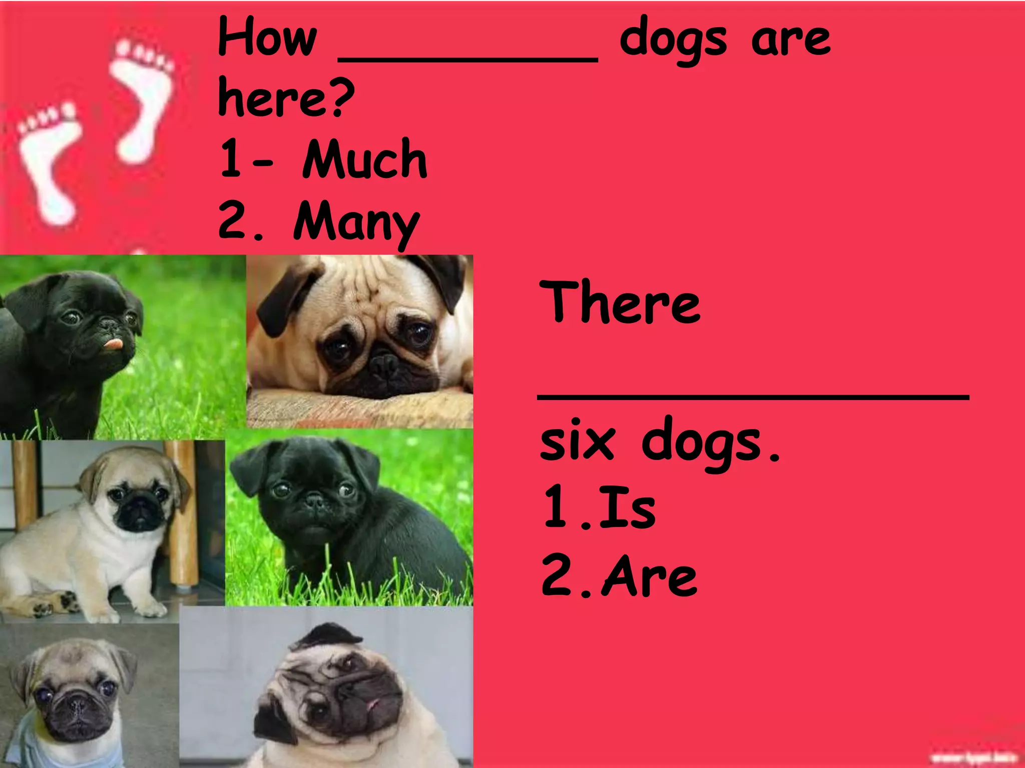 How much & how many powerpoint | PPTX