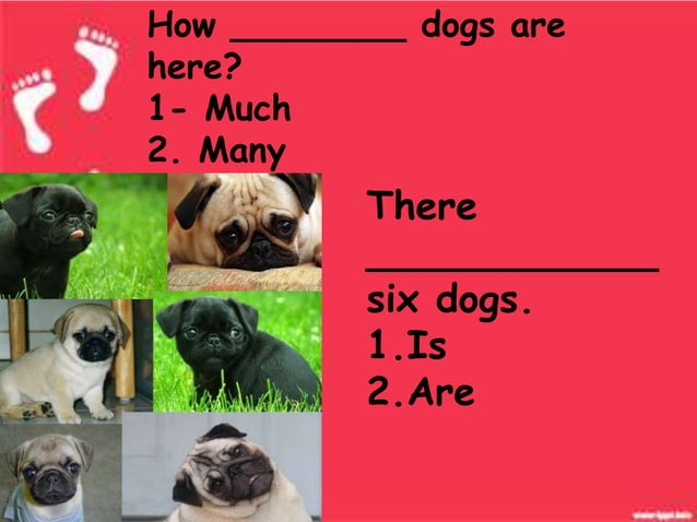 How much & how many powerpoint | PPTX