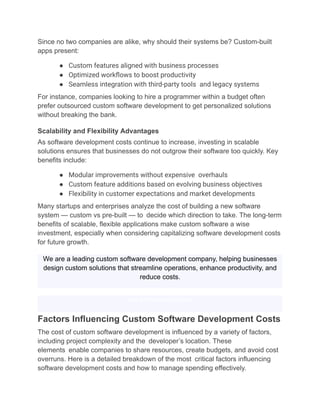 How Much Will Custom Software Development Cost in 2025 | PDF