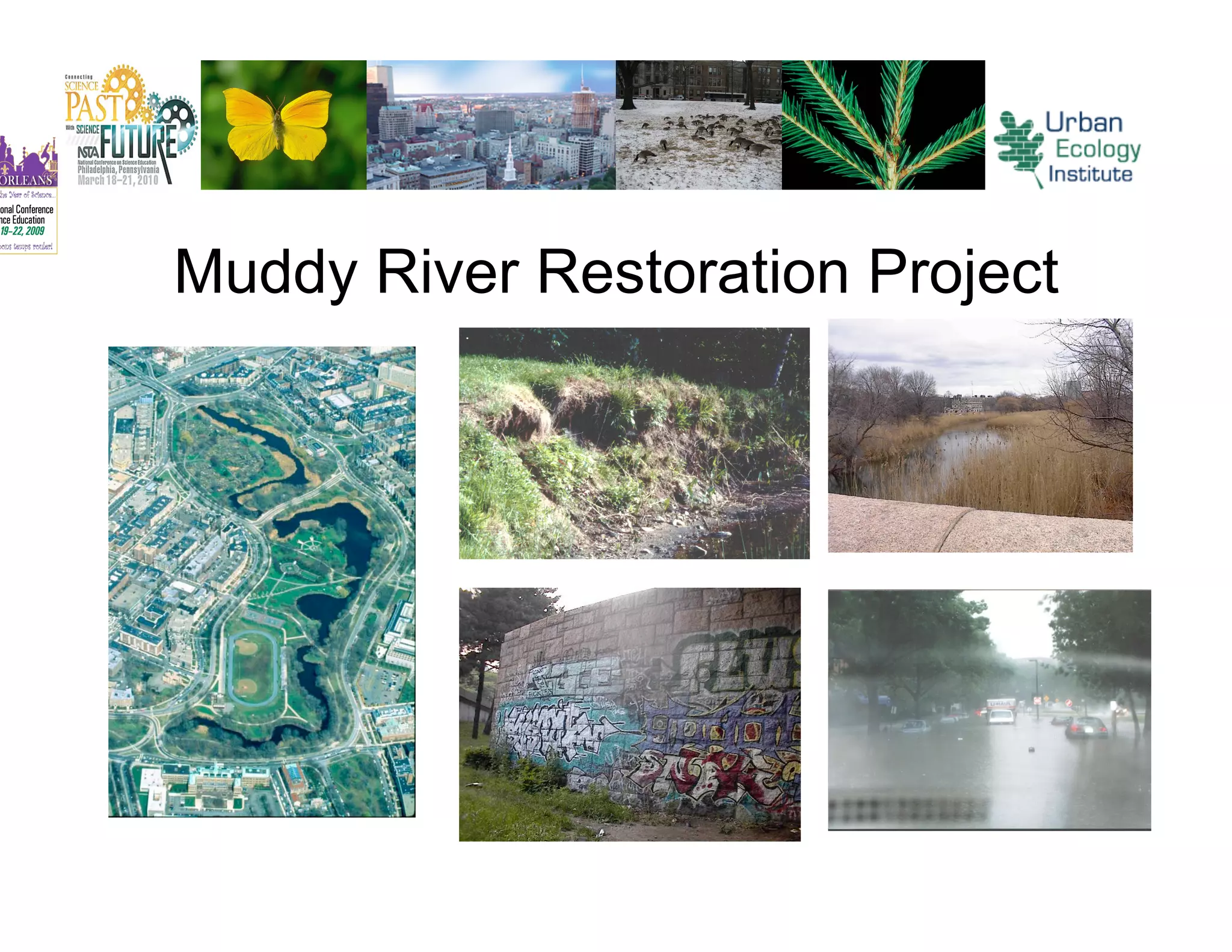 How Muddy Is The Muddy River | PDF | Geography | Science