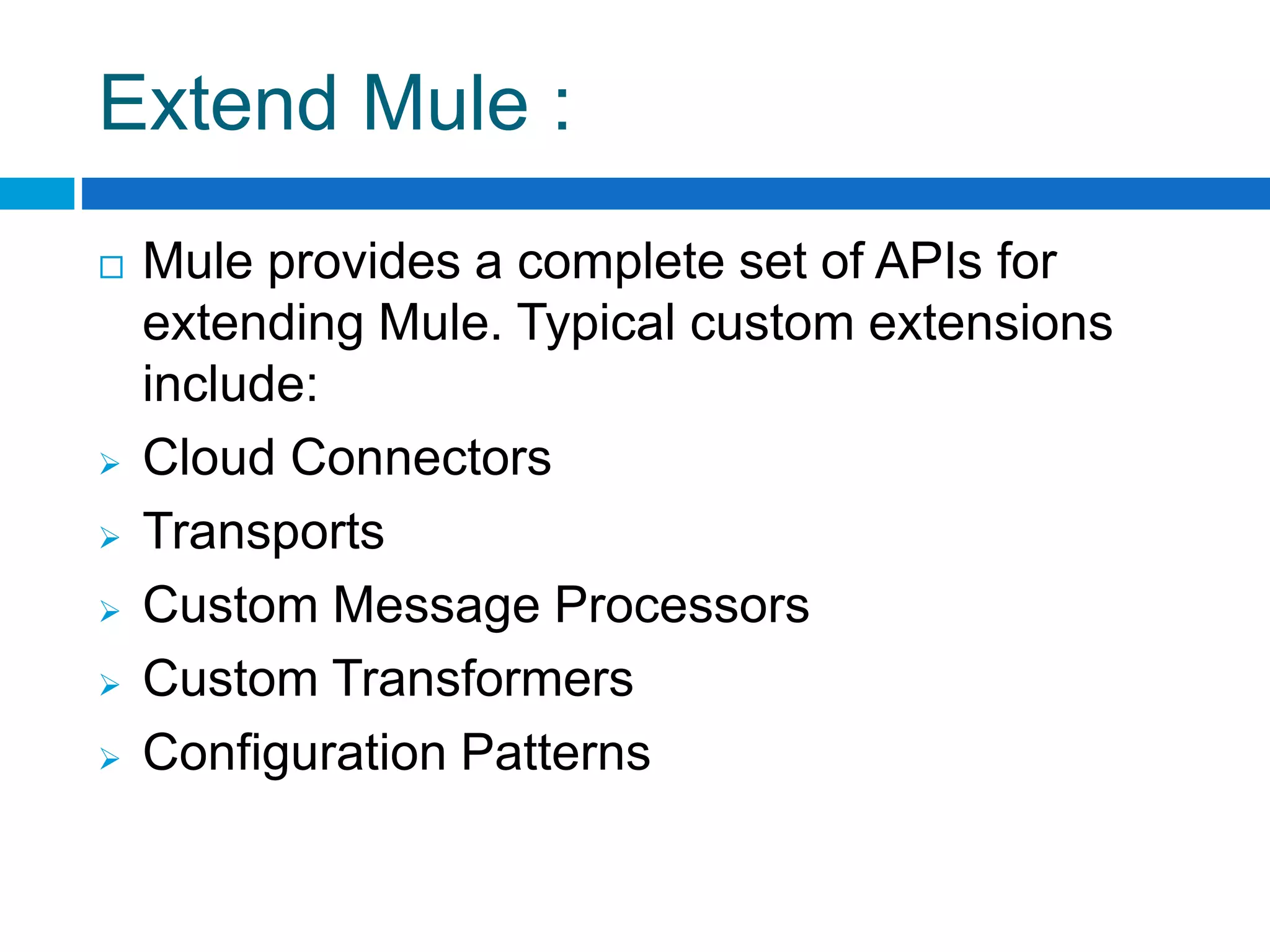 How muleworks | PPTX | Cloud Computing | Internet