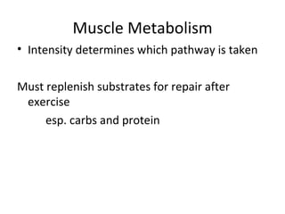How Muscle Grows | PPT