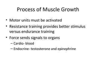 How Muscle Grows | PPT