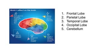 Music & Your Brain | PDF