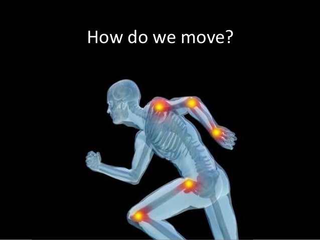 How my body moves. Skeletal and muscular systems.